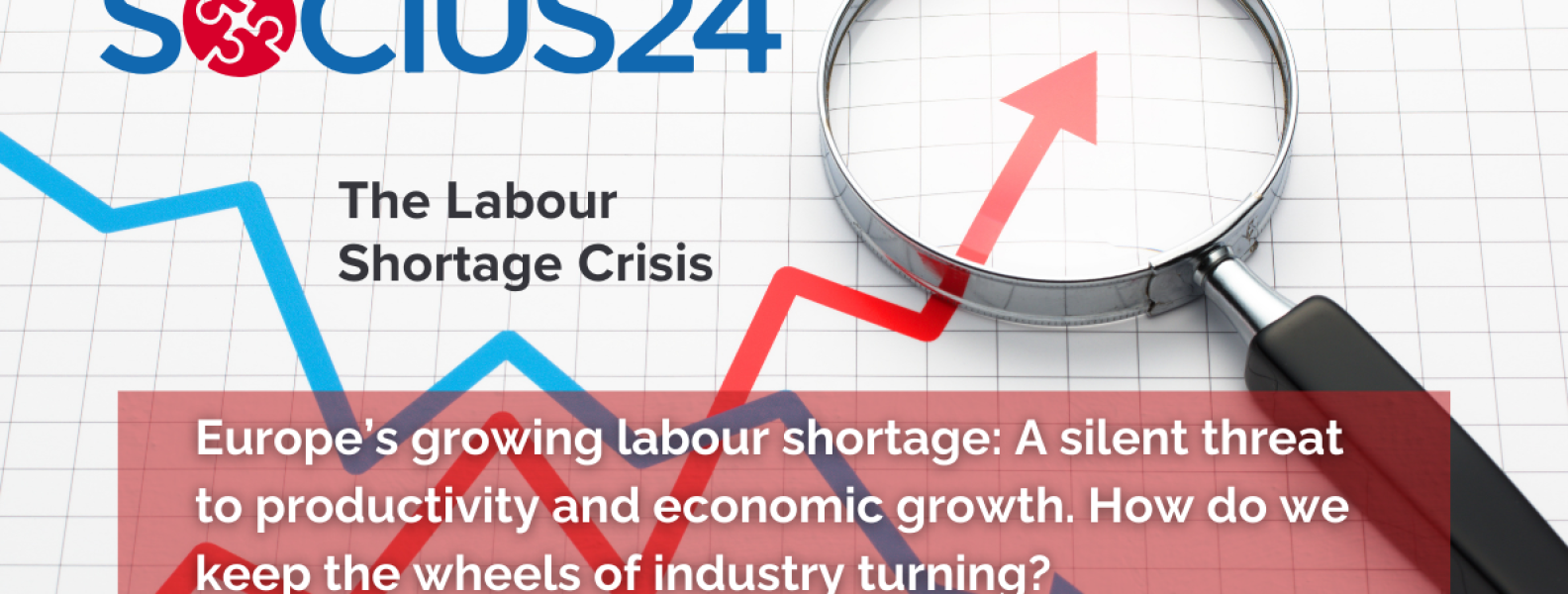 Beyond Robots: Tackling Labour Shortages with Smart WMS - Socius24